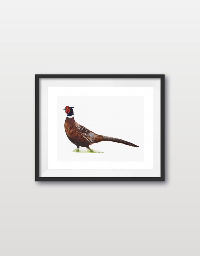 Aghadowey Pheasant Original Painting – Wool Hill